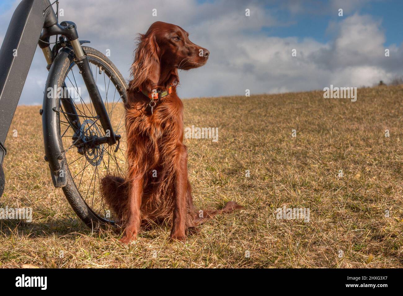 With spring comes the bicycle season. Cycling is the ideal way to enjoy ...