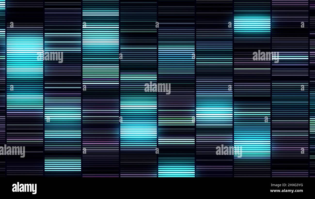 Horizontal flashing purple and blue stripes divided into same size ...