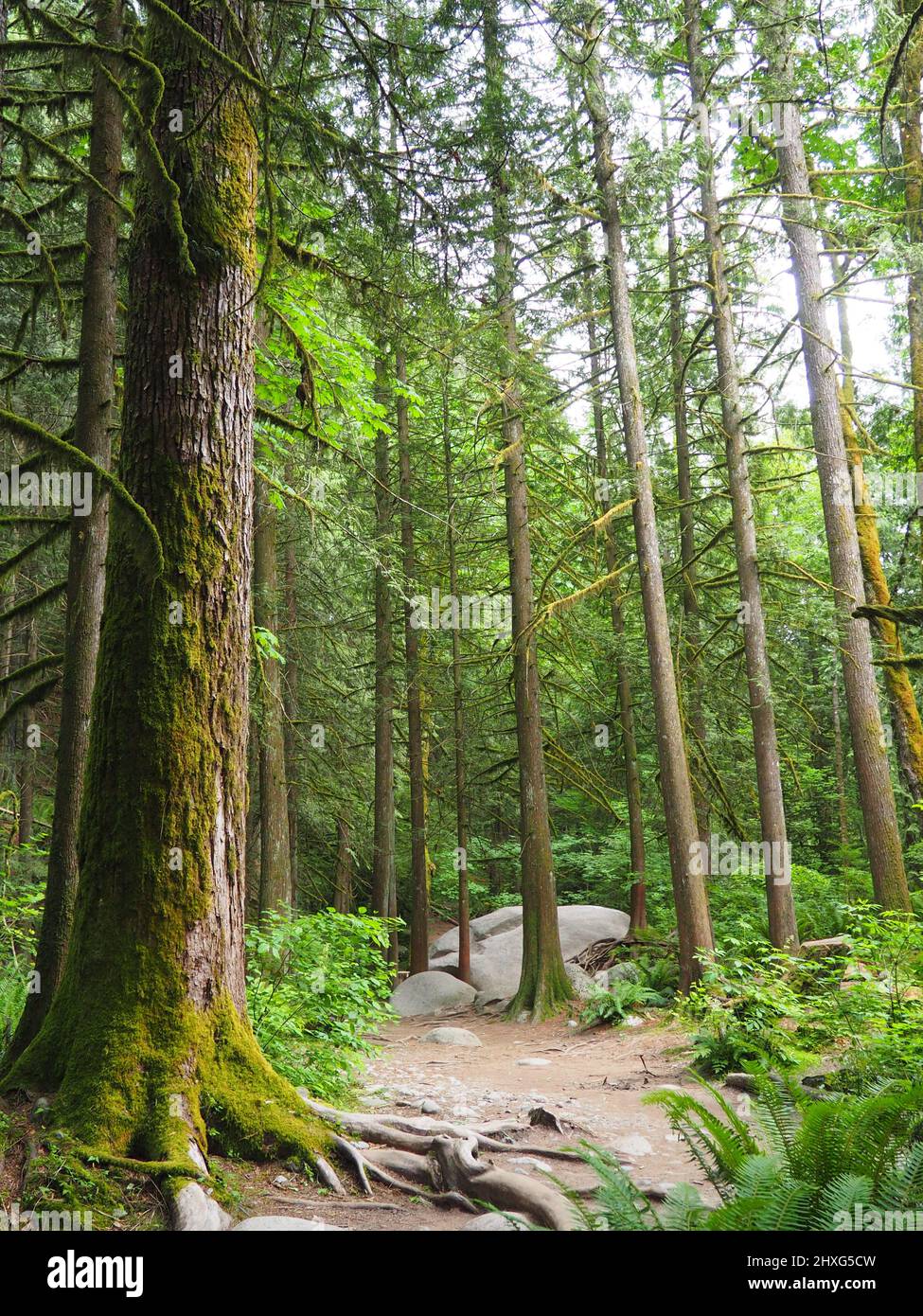 Deats hi-res stock photography and images - Alamy