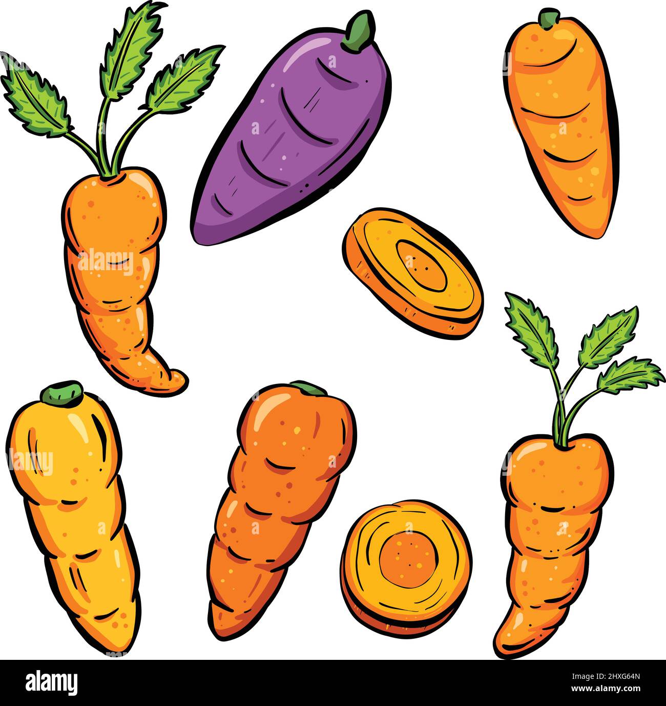 Cartoon Style Carrot Vegetables Roots and Pieces Collection Stock ...