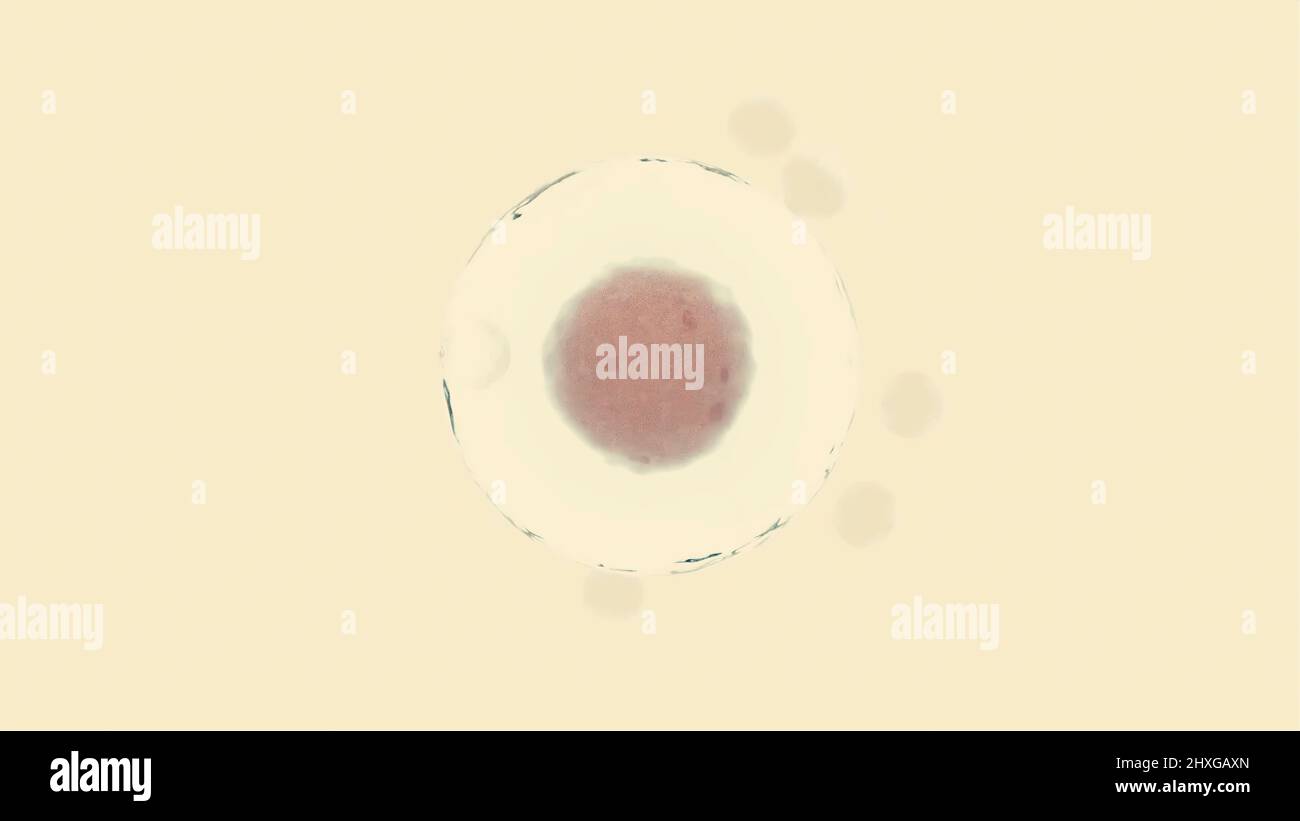 Abstract medical illustration of a cell and moving particles process ...