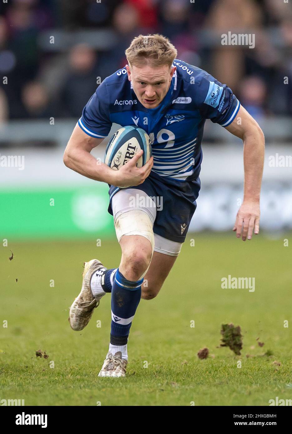Connor gallagher hi-res stock photography and images - Alamy