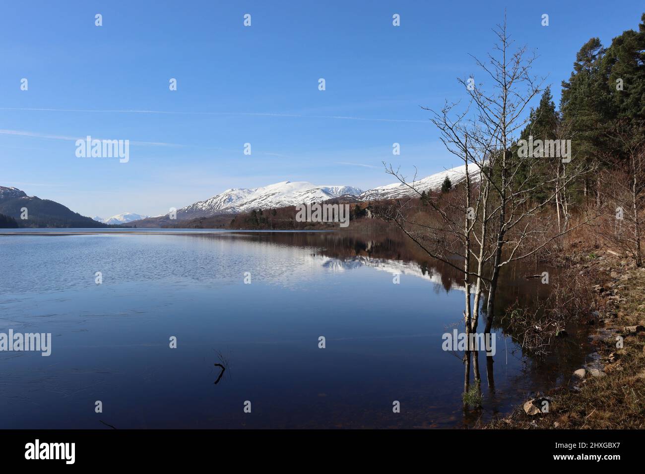 Typical scene in Scottish Highlands in winter Stock Photo - Alamy