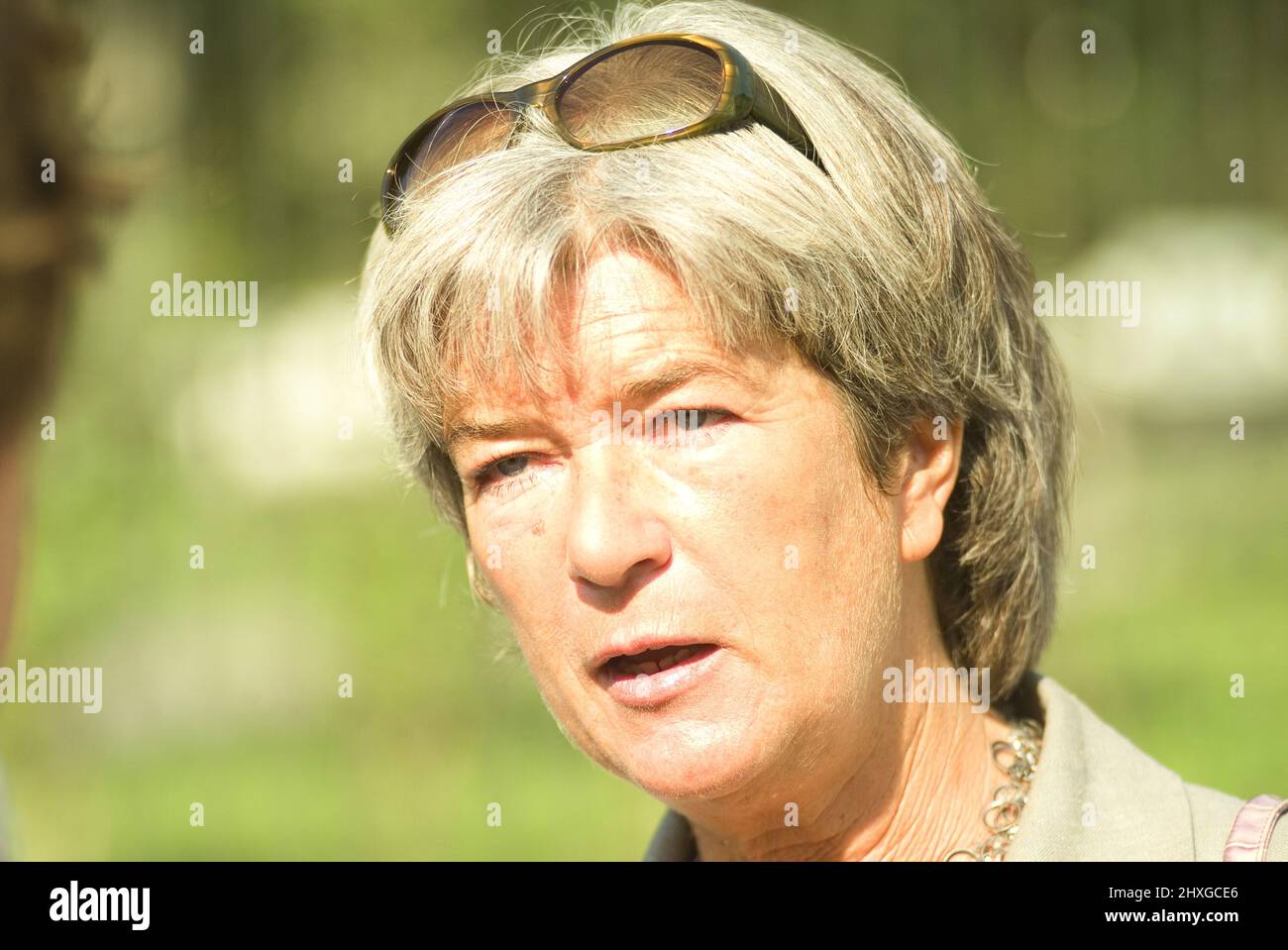 Vienna, Austria. 23 August 2008. Campaign event with Heide Schmidt ...