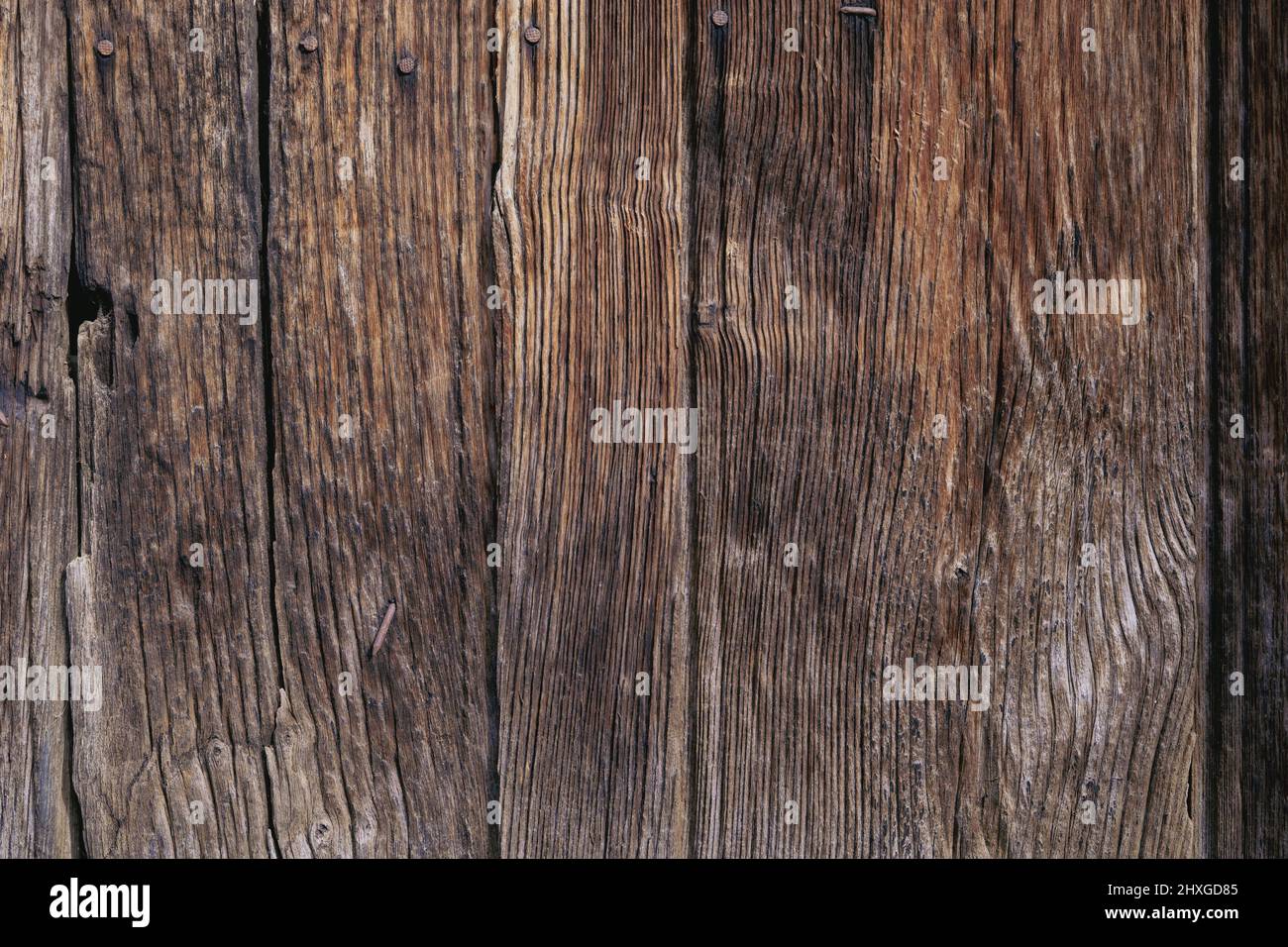 Texture of aged wood planks with vertical lines. Old chestnut wood ...