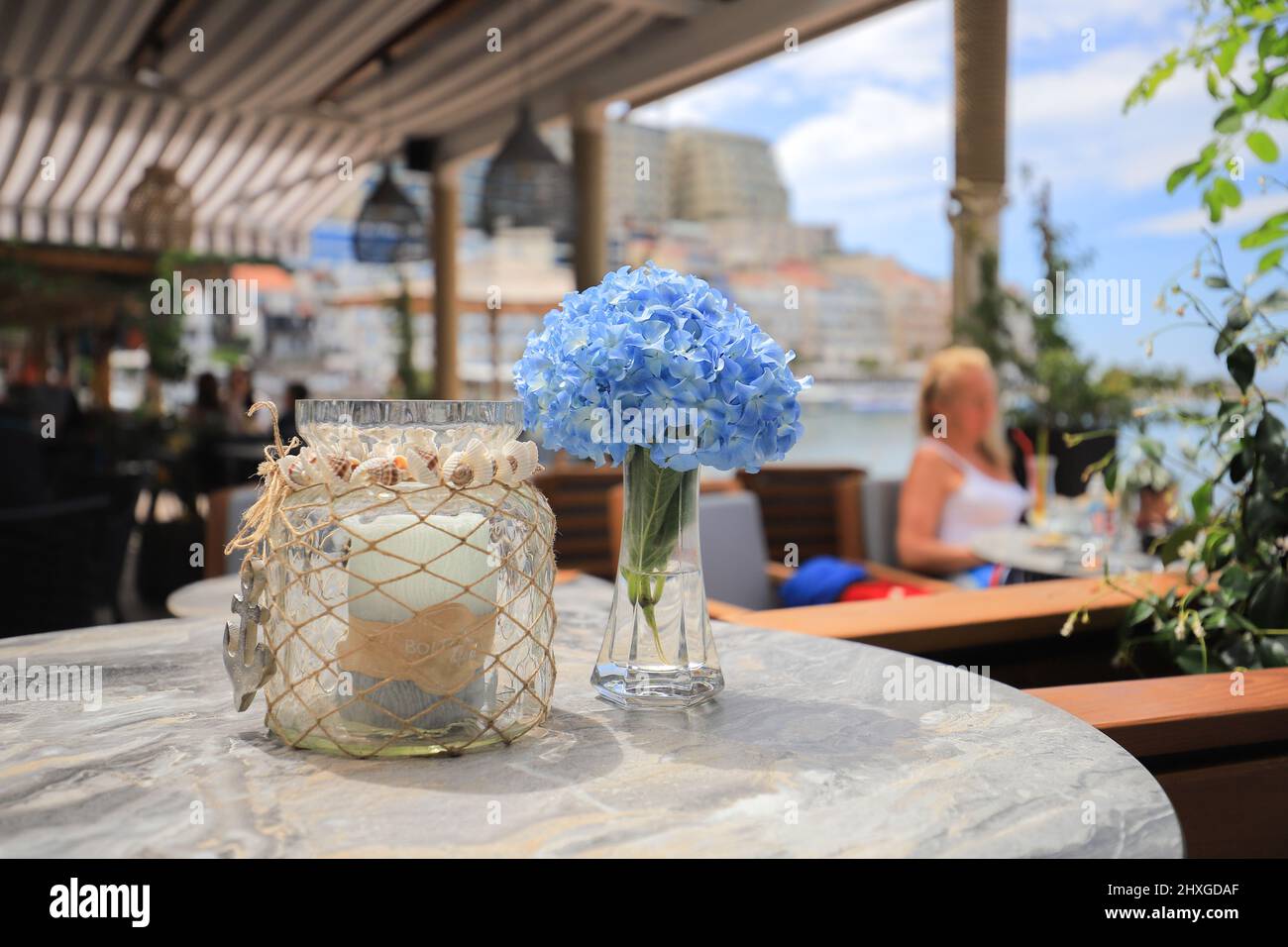 Hydrangea flower in the vase on the table in cafe Stock Photo - Alamy