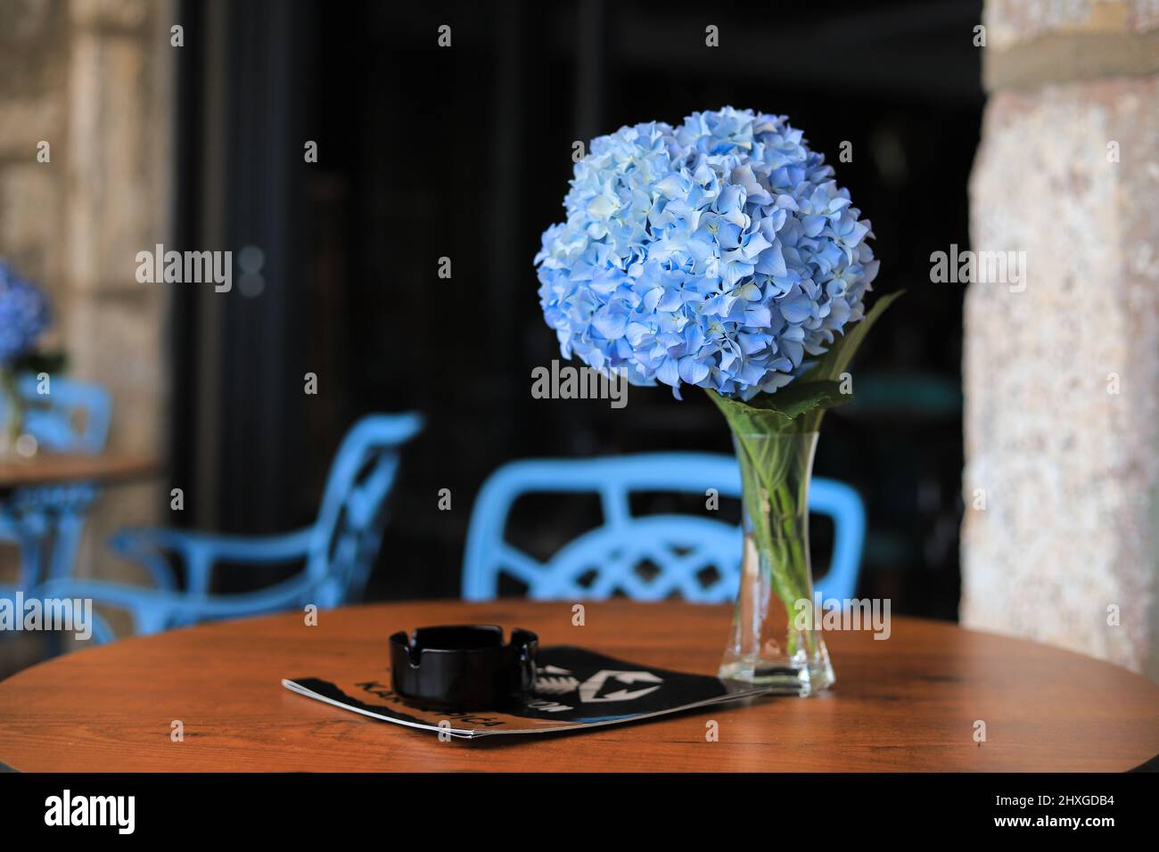 Hydrangea flower in the vase on the table in cafe Stock Photo - Alamy