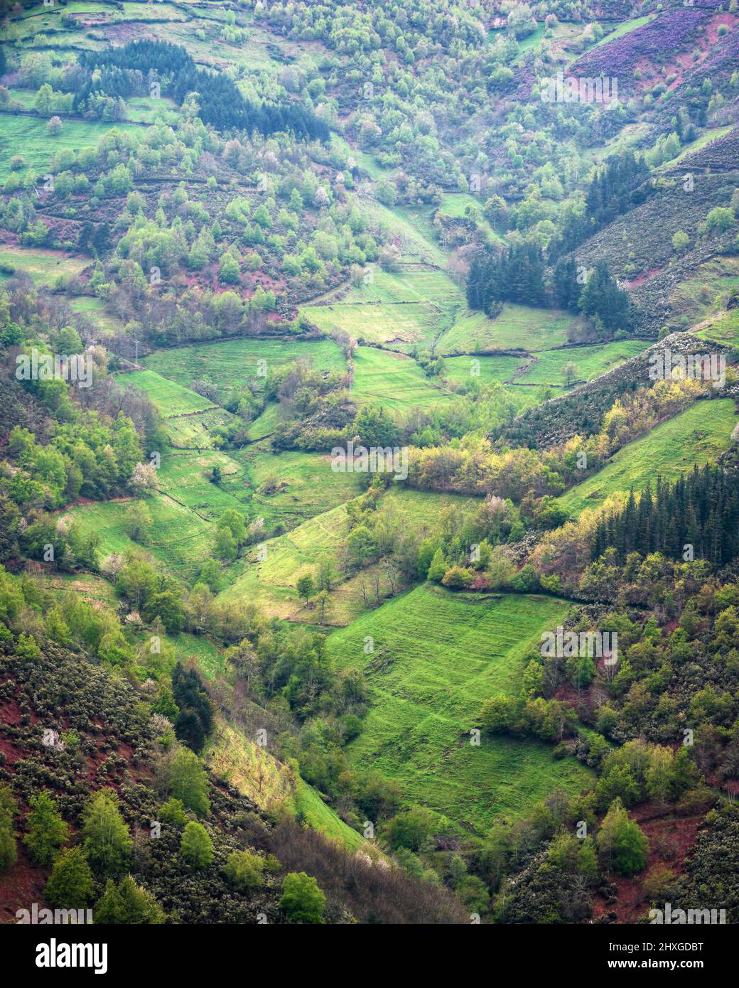 Steep grasslands on both sides of the valley of a stream in Cervantes ...