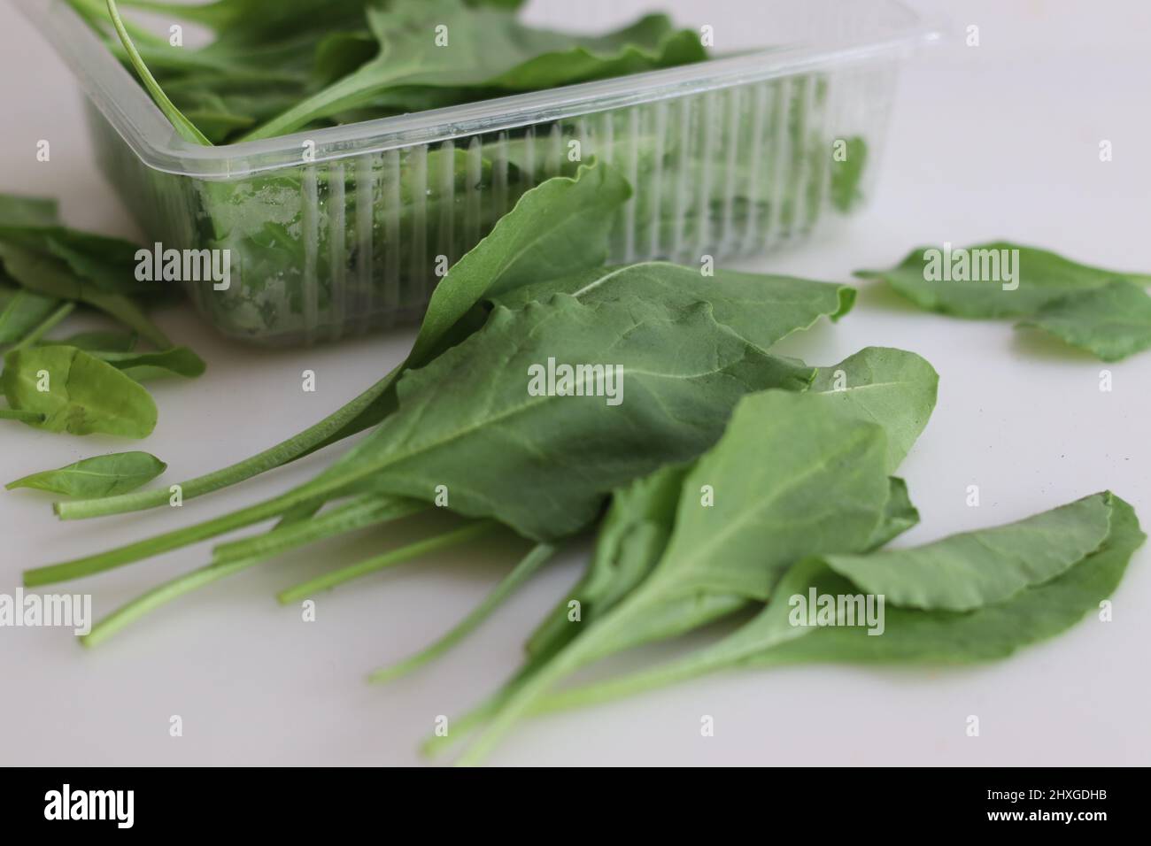 Fresh, tender and sweet baby spinach leaves. Young spinach or Spinacia ...