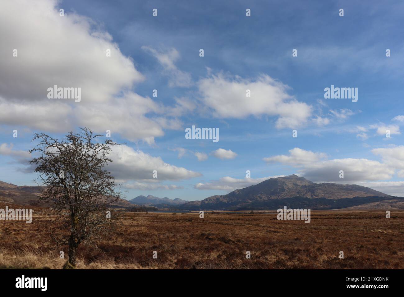 Ardnamurchan Peninsula, Scotland Stock Photo - Alamy