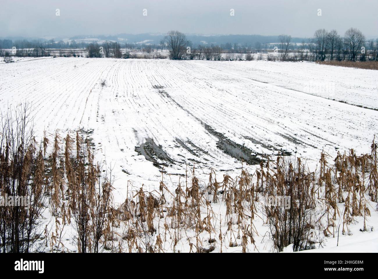 Mineral jadarit hi-res stock photography and images - Alamy