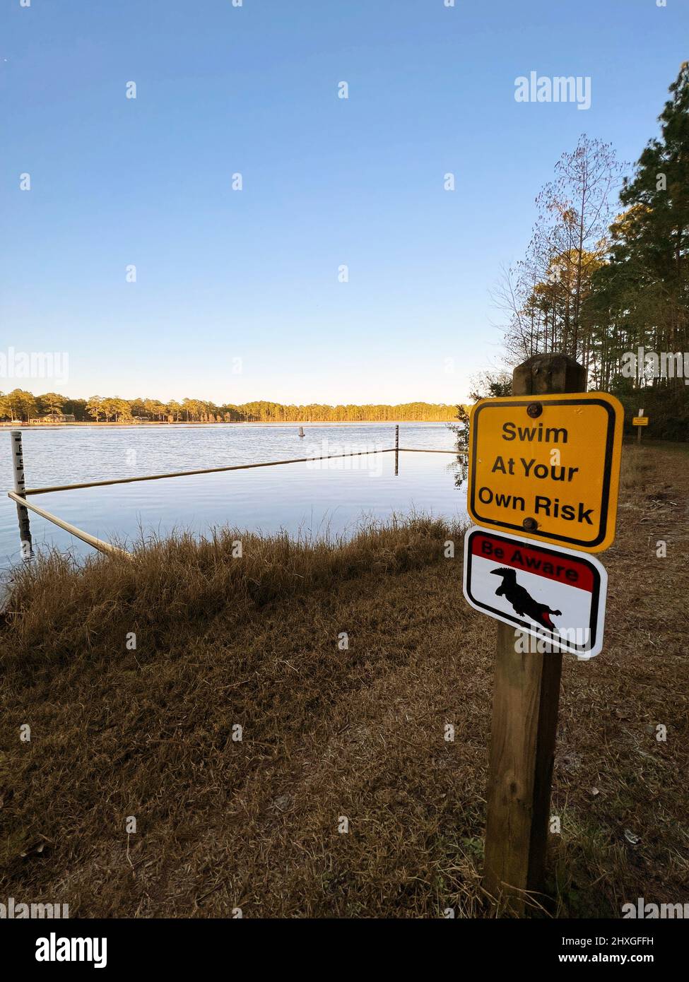 Due to the presence of alligators, a swim at your own risk sign is ...