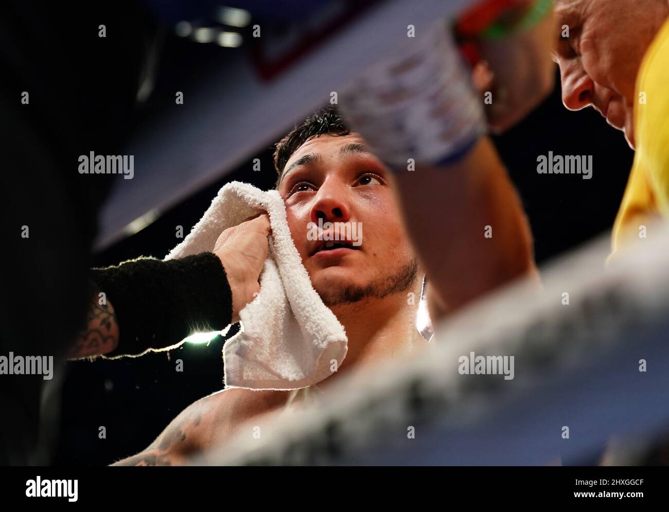 International bantamweight contest hi-res stock photography and images ...