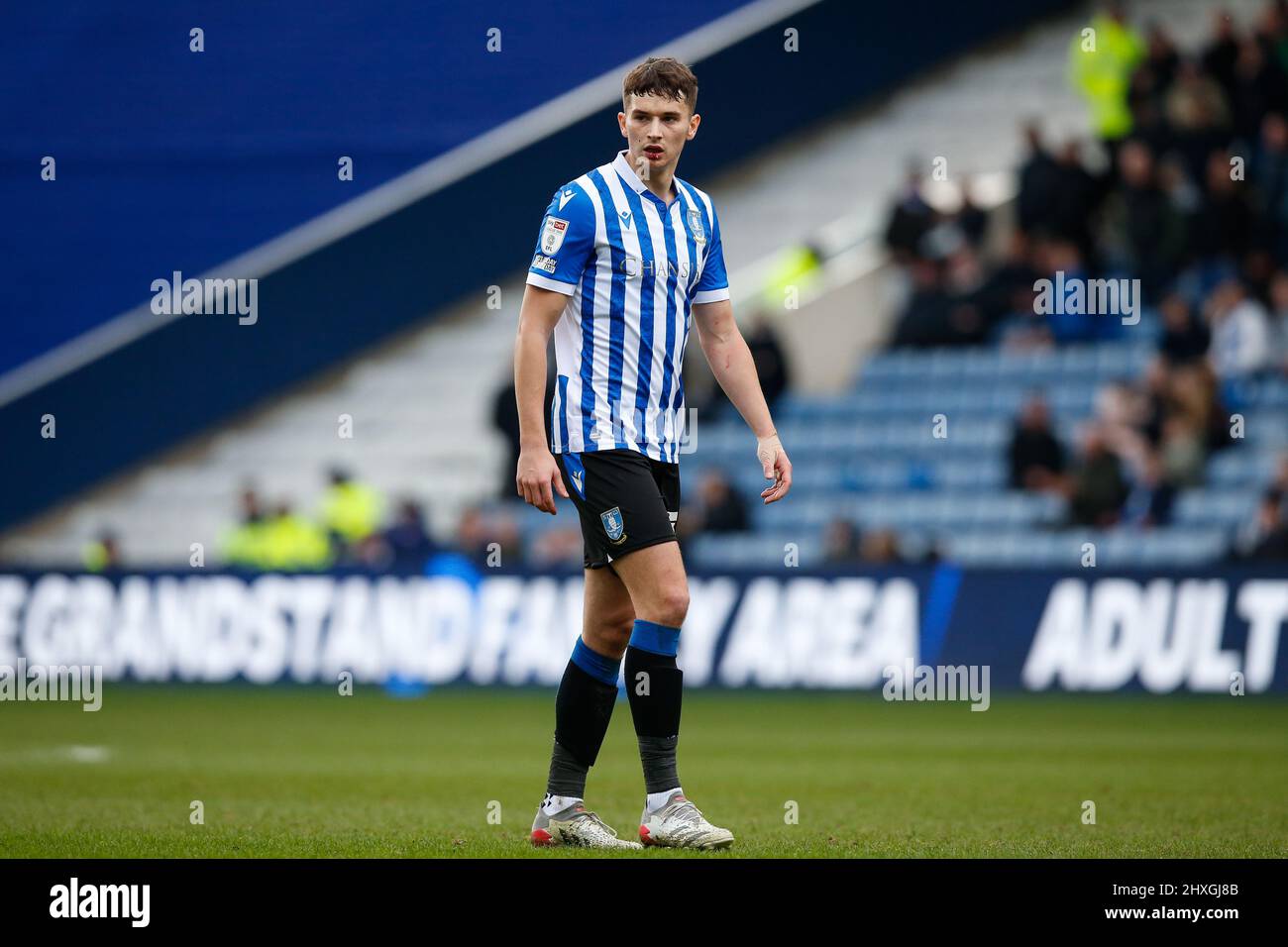 Jordan Storey #38 of Sheffield Wednesday Stock Photo - Alamy