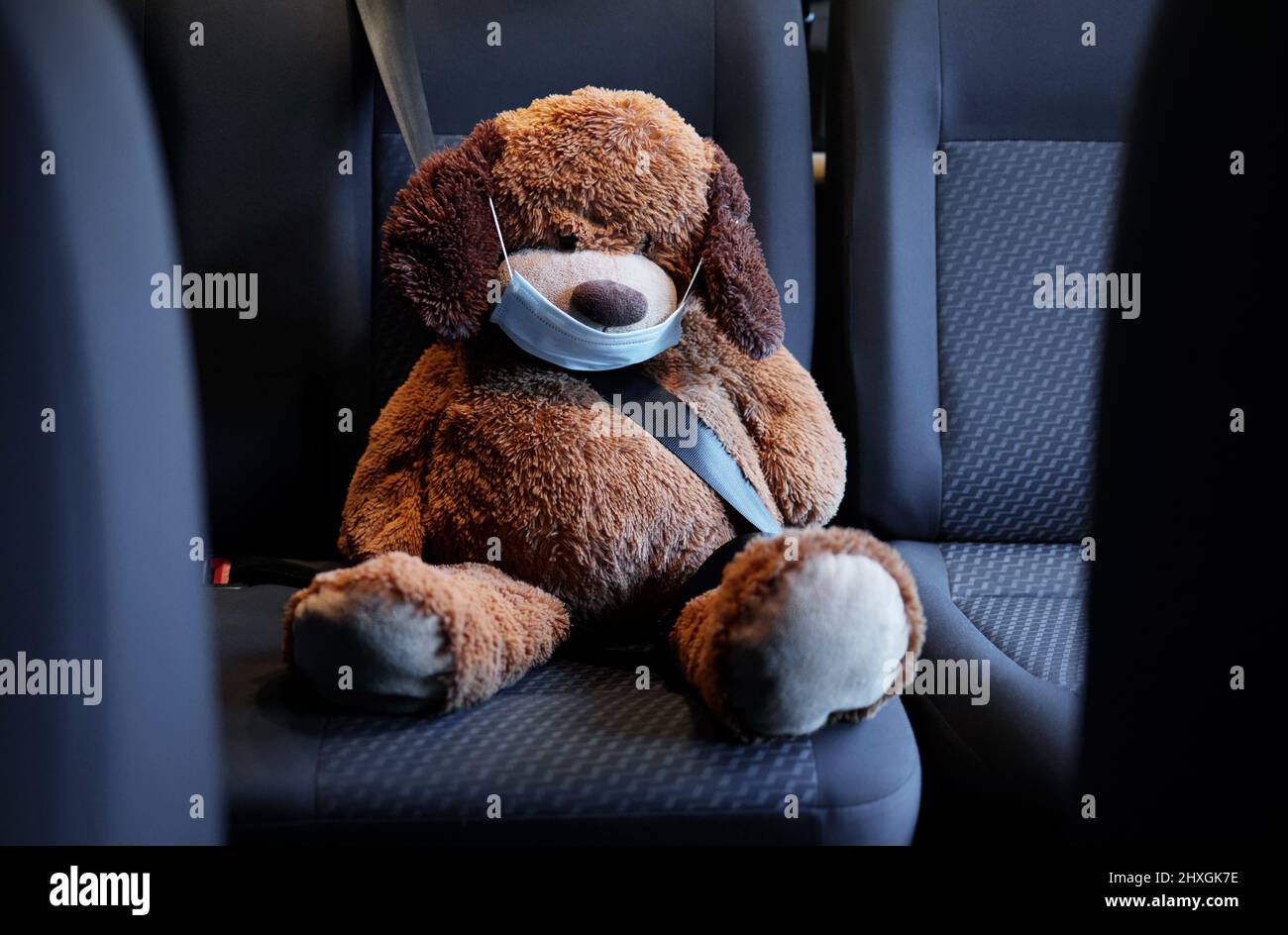 Safety first. Shot of a teddy bear on a car seat in a car Stock Photo ...