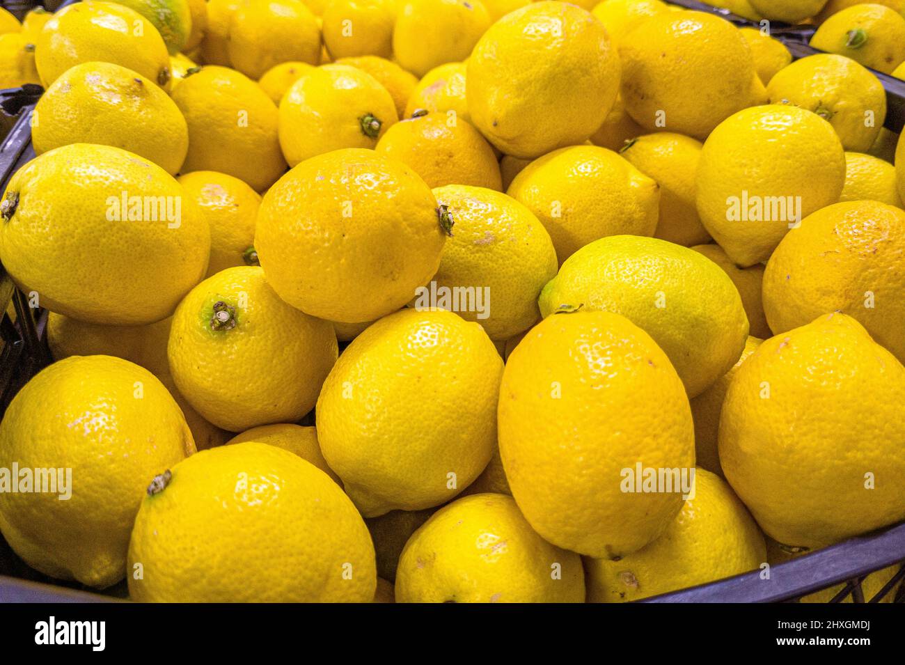 Fresh lemons are in a drawer in the store Stock Photo - Alamy