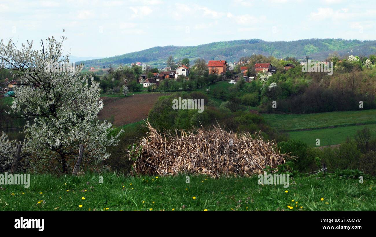 Mineral jadarite hi-res stock photography and images - Alamy