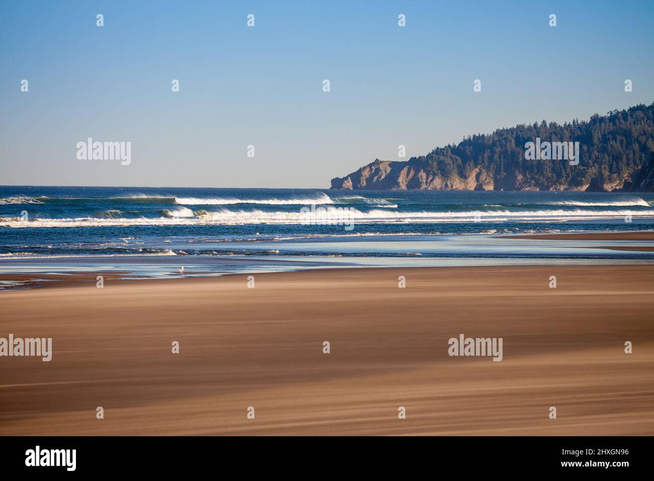 The beach on a windy morning at Nehalem Bay State Park, Oregon, USA ...