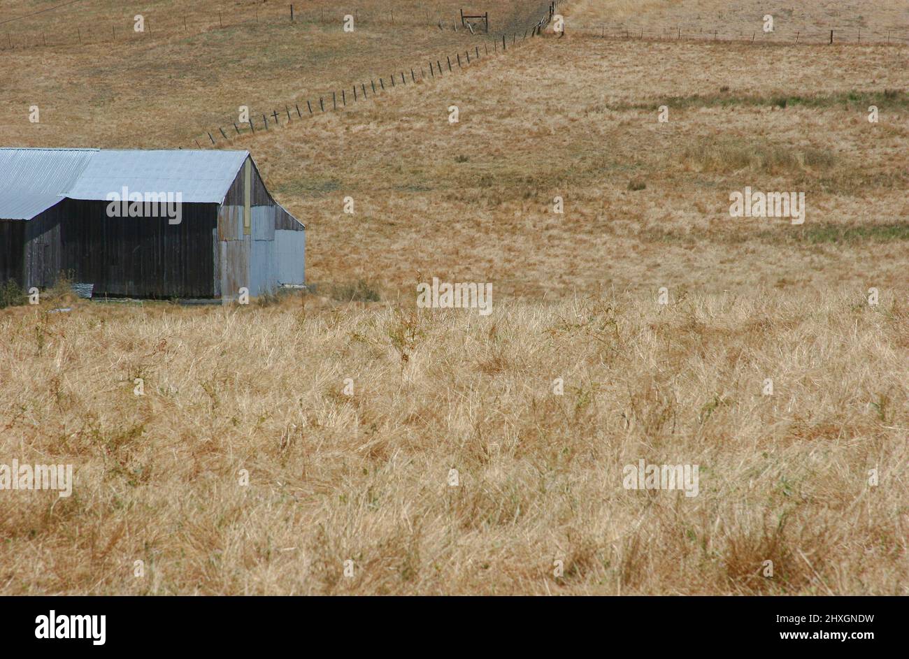 Fields of Golden Grasses with Fences and Old Barn Stock Photo - Alamy