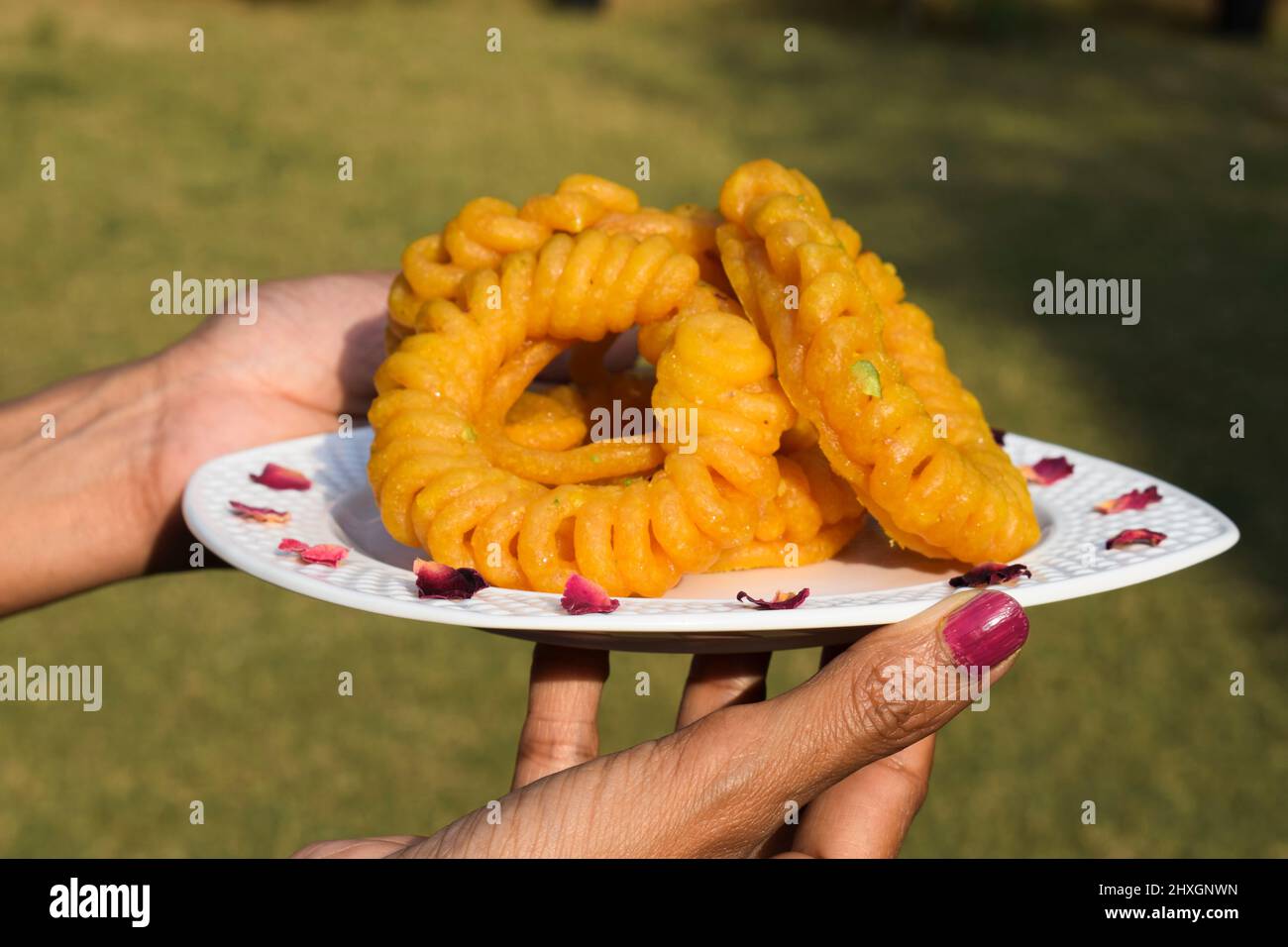 Female holding Imarti sweets, popular sweet dish from India. Circular ...