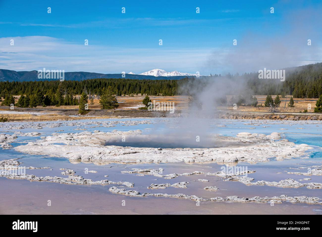 Geothermal hotsprings in Yellowstone National Park, USA Stock Photo - Alamy