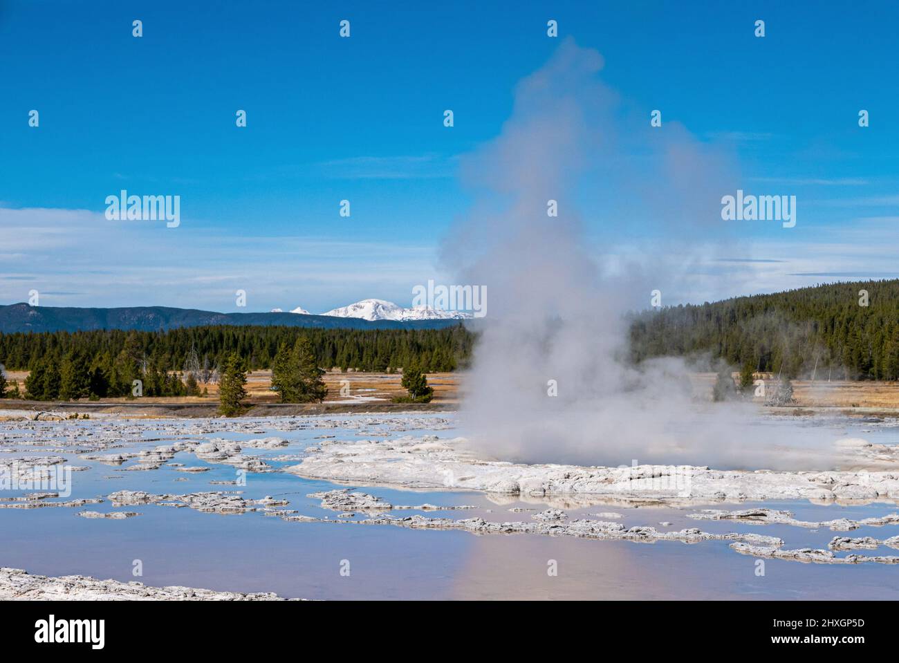 Geothermal hotsprings in Yellowstone National Park, USA Stock Photo - Alamy