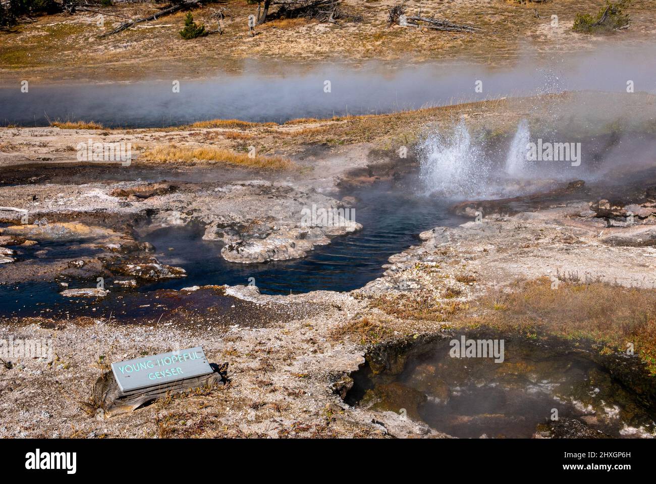 Geothermal hotsprings in Yellowstone National Park, USA Stock Photo - Alamy
