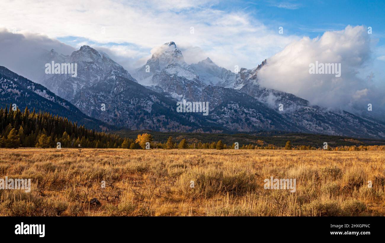 Autumn colours in Grand Teton National Park, USA Stock Photo - Alamy