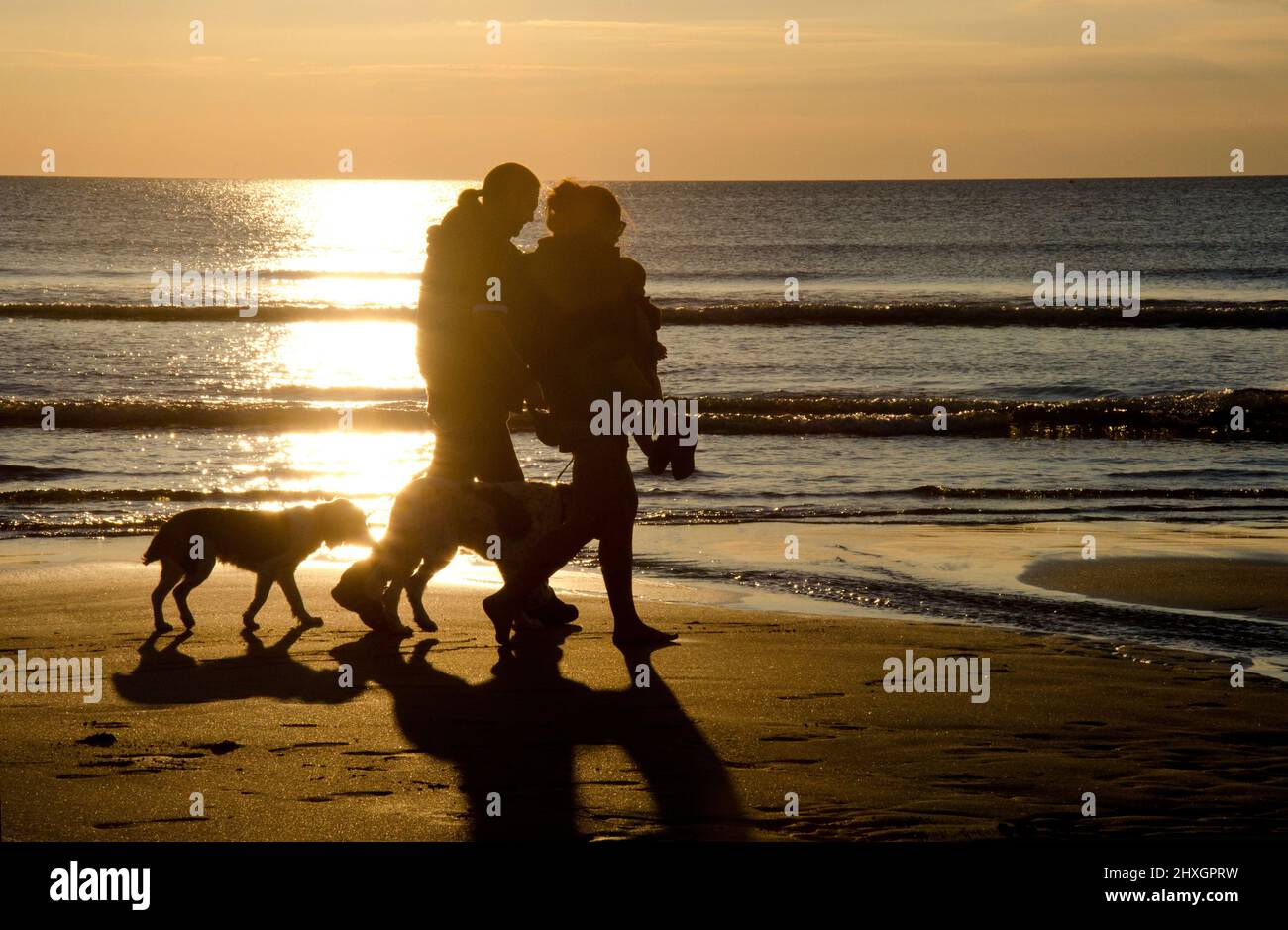 Dog walk beach hi-res stock photography and images - Alamy