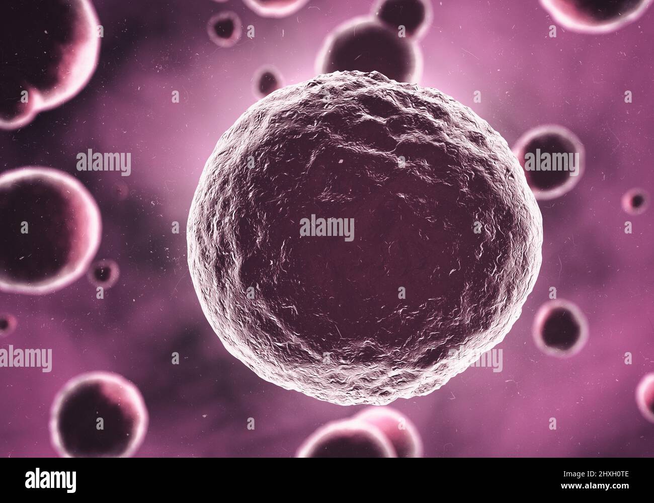 Microbes magnified. Image of bacteria as seen under a microscope Stock ...