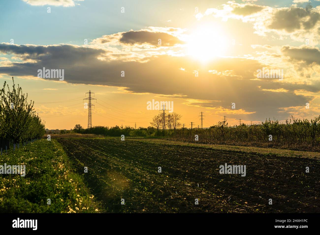 Countryside farming land. Land prepared for farming. Agriculture ...