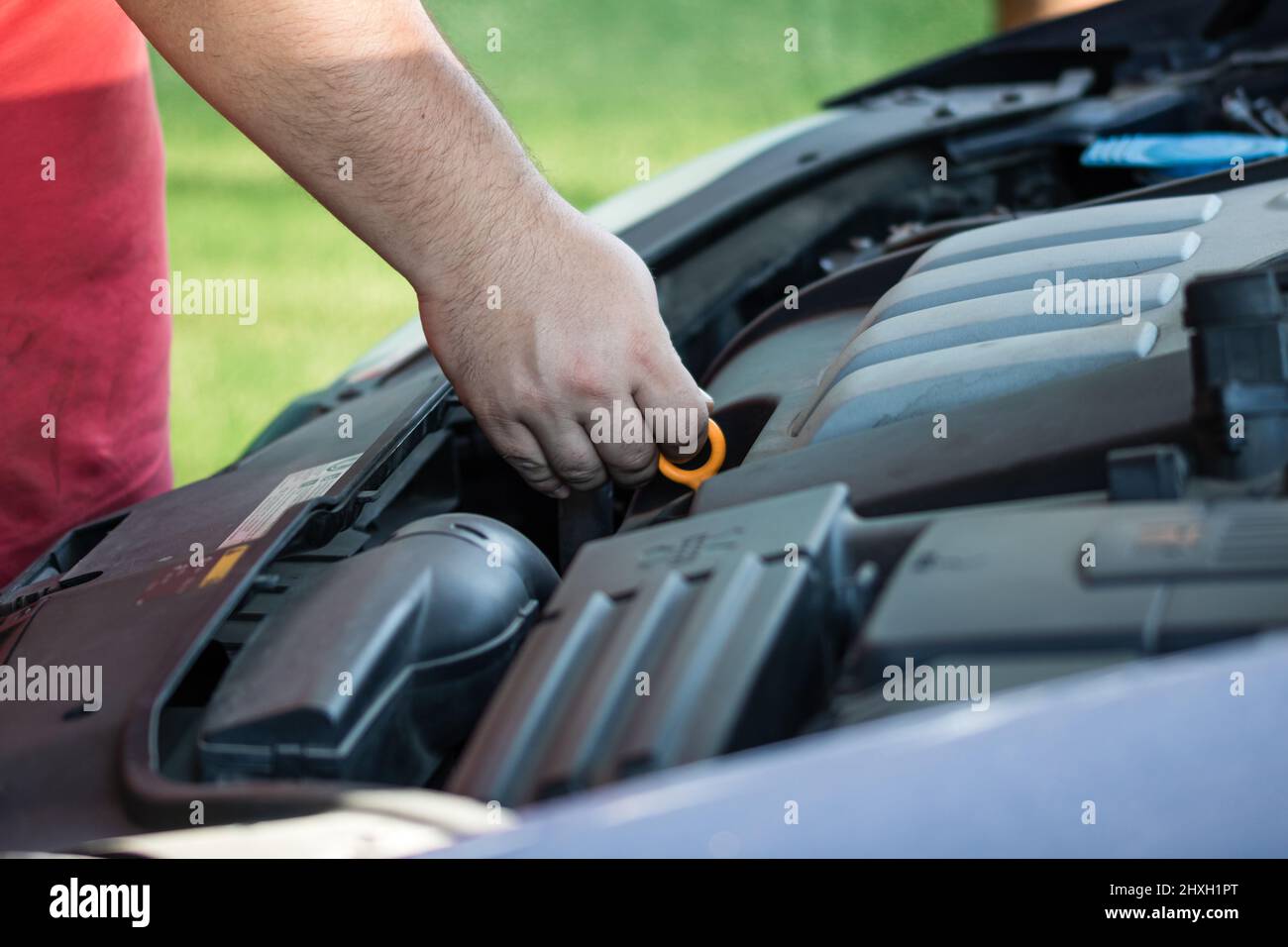 Car mechanic checking the engine oil level Stock Photo - Alamy