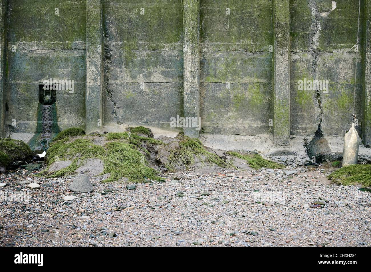 small sewage outlet on wall of bank of river thames in london with ...