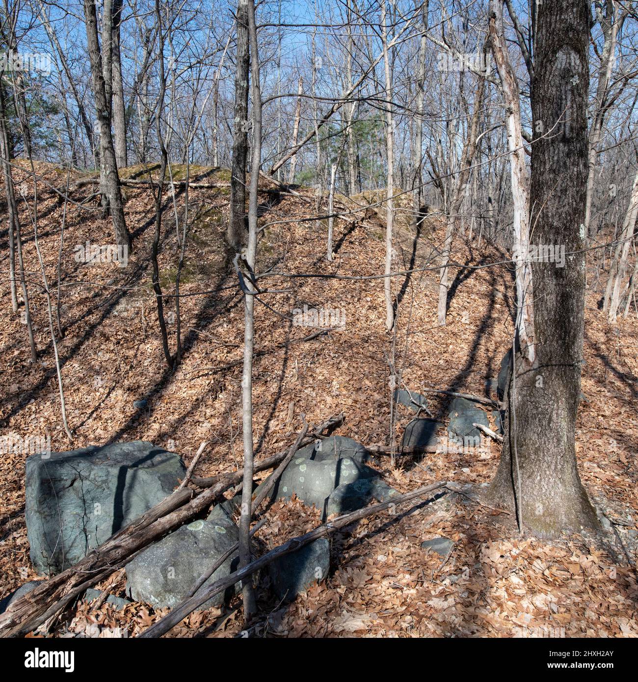 Arlington's Great Meadows Stock Photo - Alamy