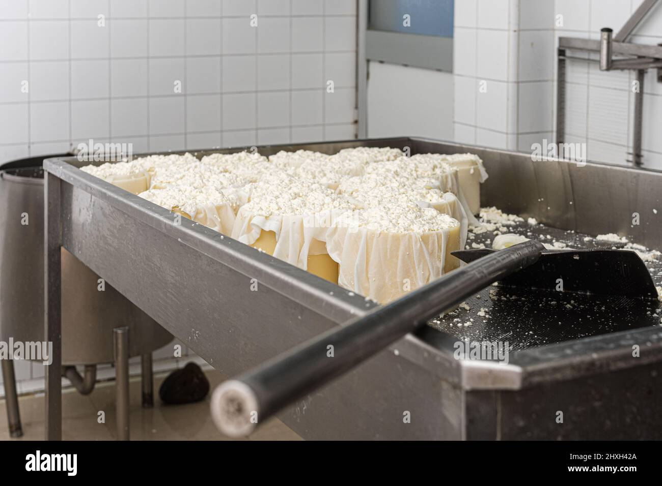 Several large curd moulds in a metal container Stock Photo - Alamy