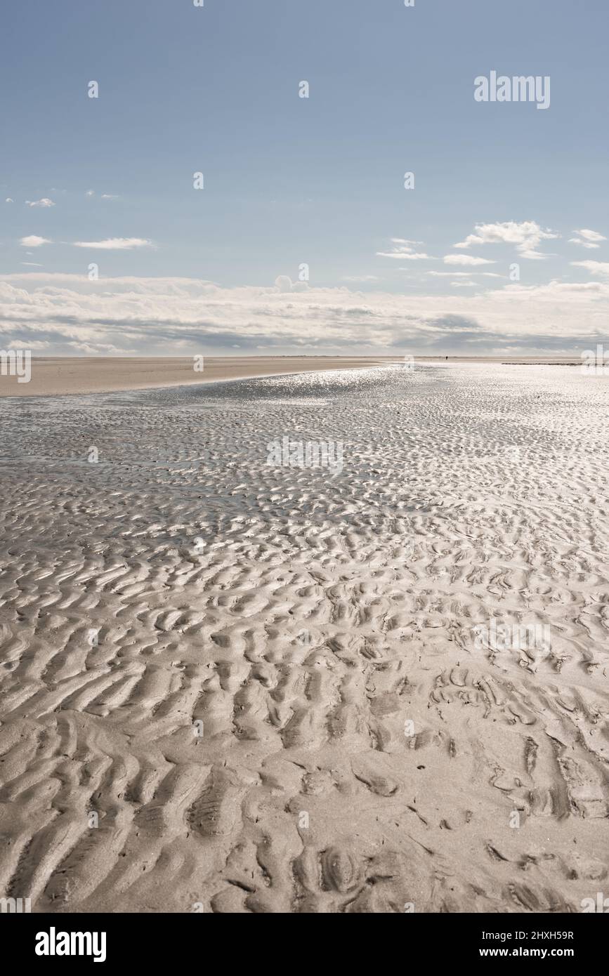 Exploring a sand bar revealing interesting finds during high winds in ...