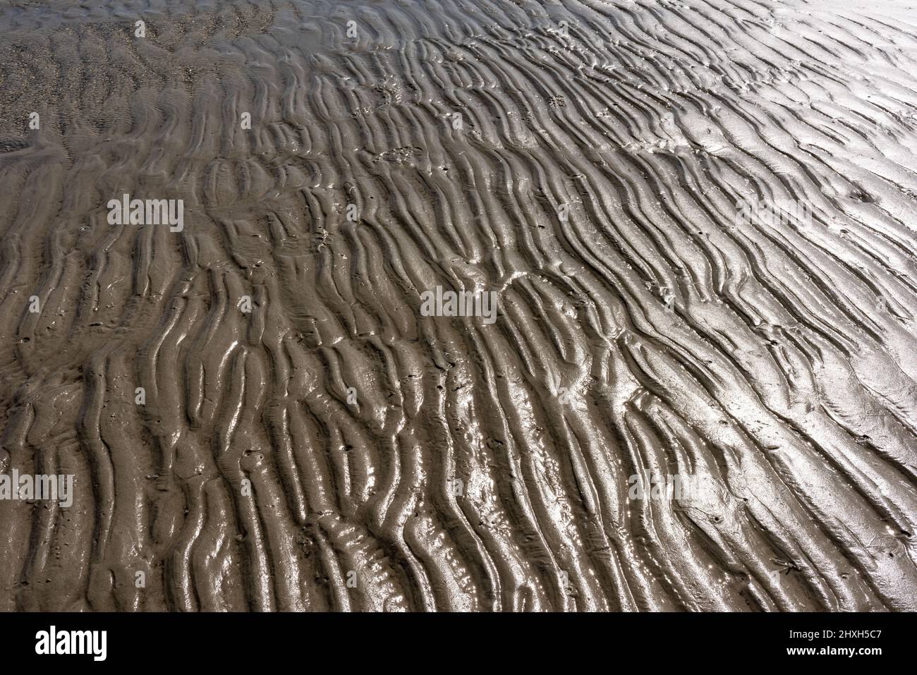 Exploring a sand bar revealing interesting finds during high winds in ...