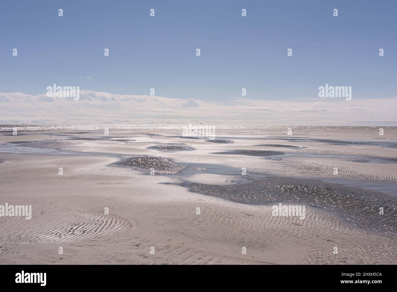 Exploring a sand bar revealing interesting finds during high winds in ...