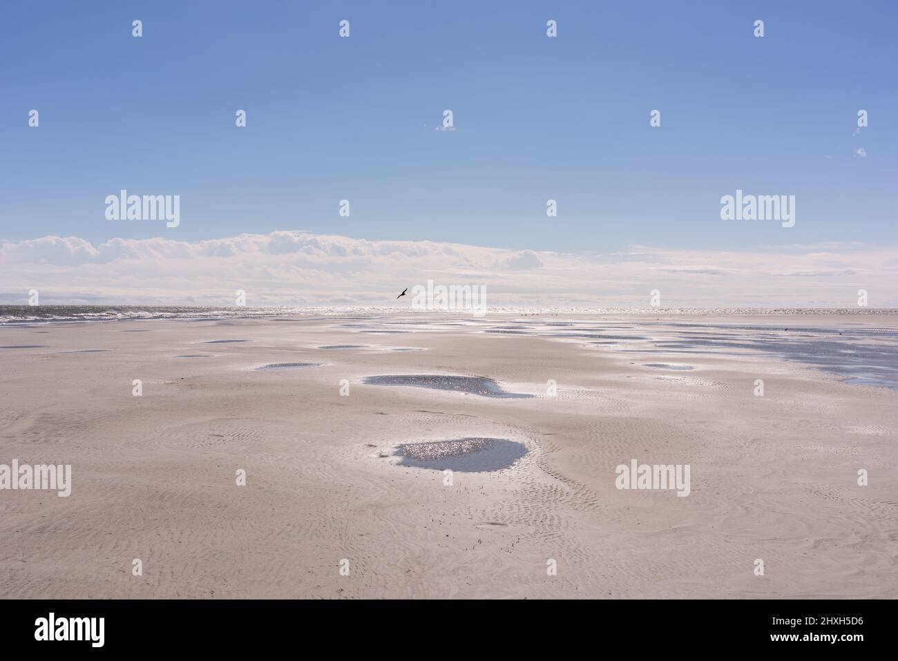 Exploring a sand bar revealing interesting finds during high winds in ...
