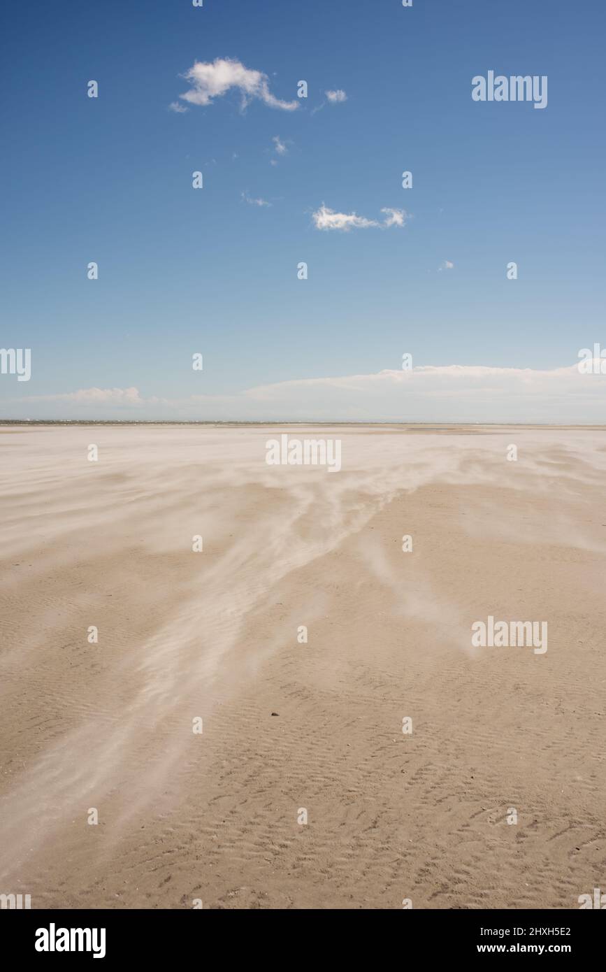 Exploring a sand bar revealing interesting finds during high winds in ...