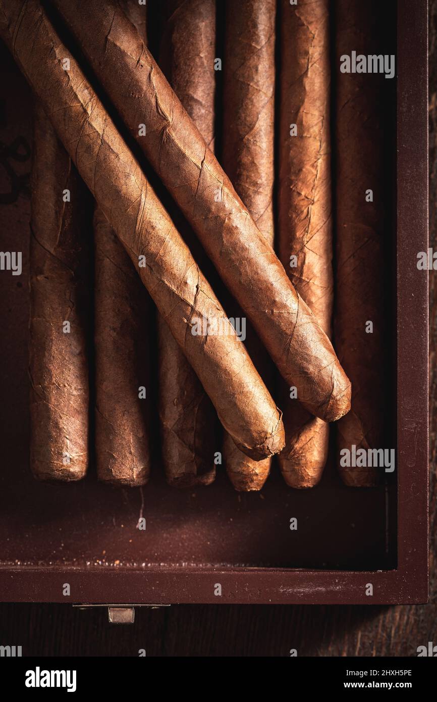 Handmade and rich smelling cigar with guillotine cuts off cigar tip ...