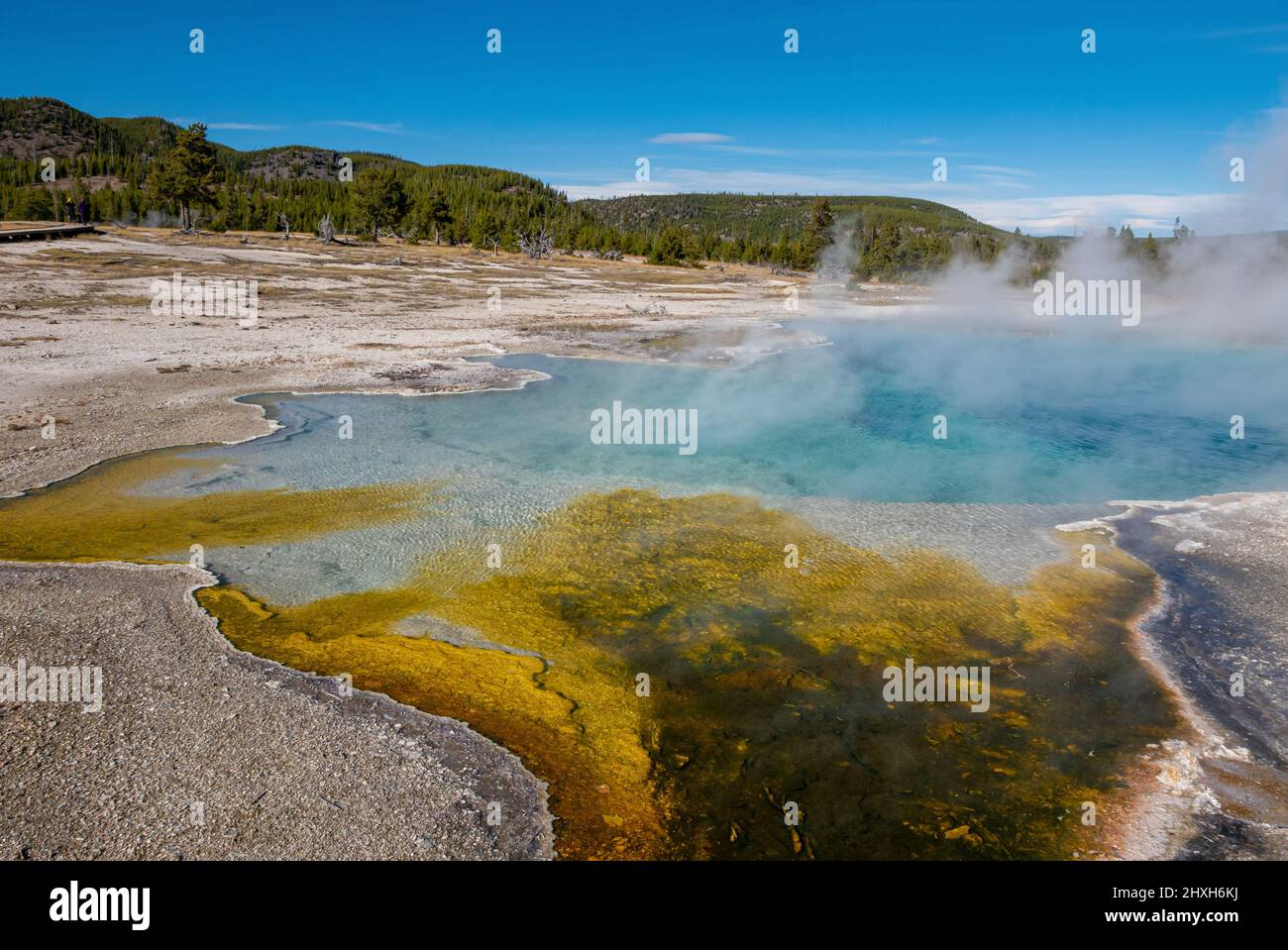Geothermal hotsprings in Yellowstone National Park, USA Stock Photo - Alamy