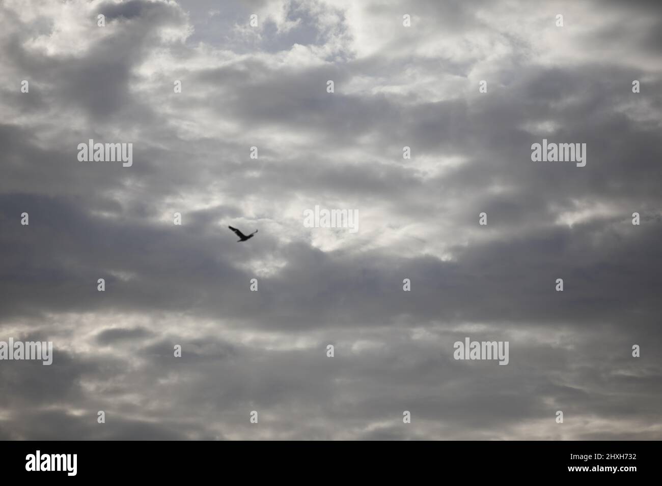 low waves on the shore of a beach High quality Stock Photo - Alamy