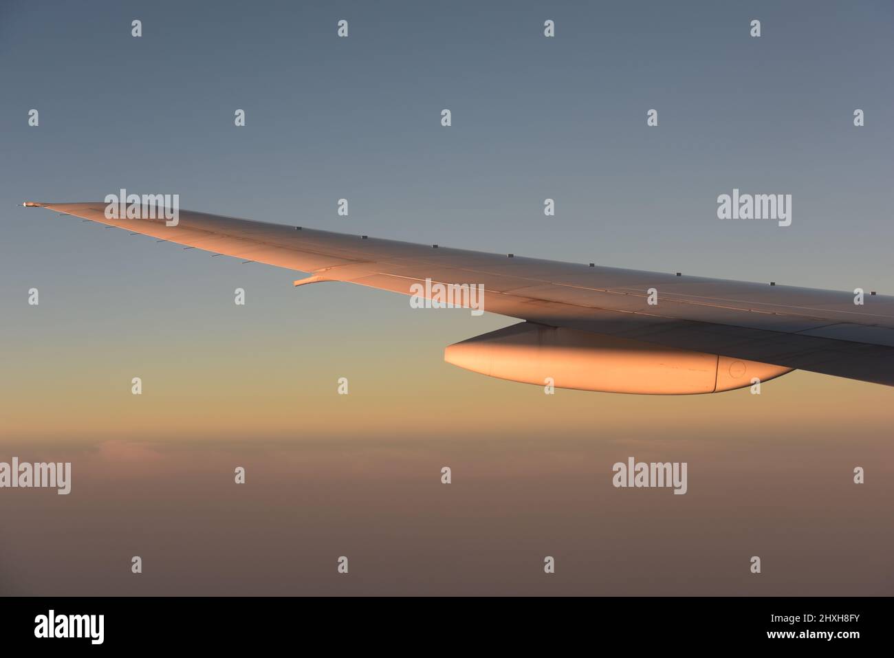 airplane wing with anti-shock bodies reflecting sunset light Stock ...