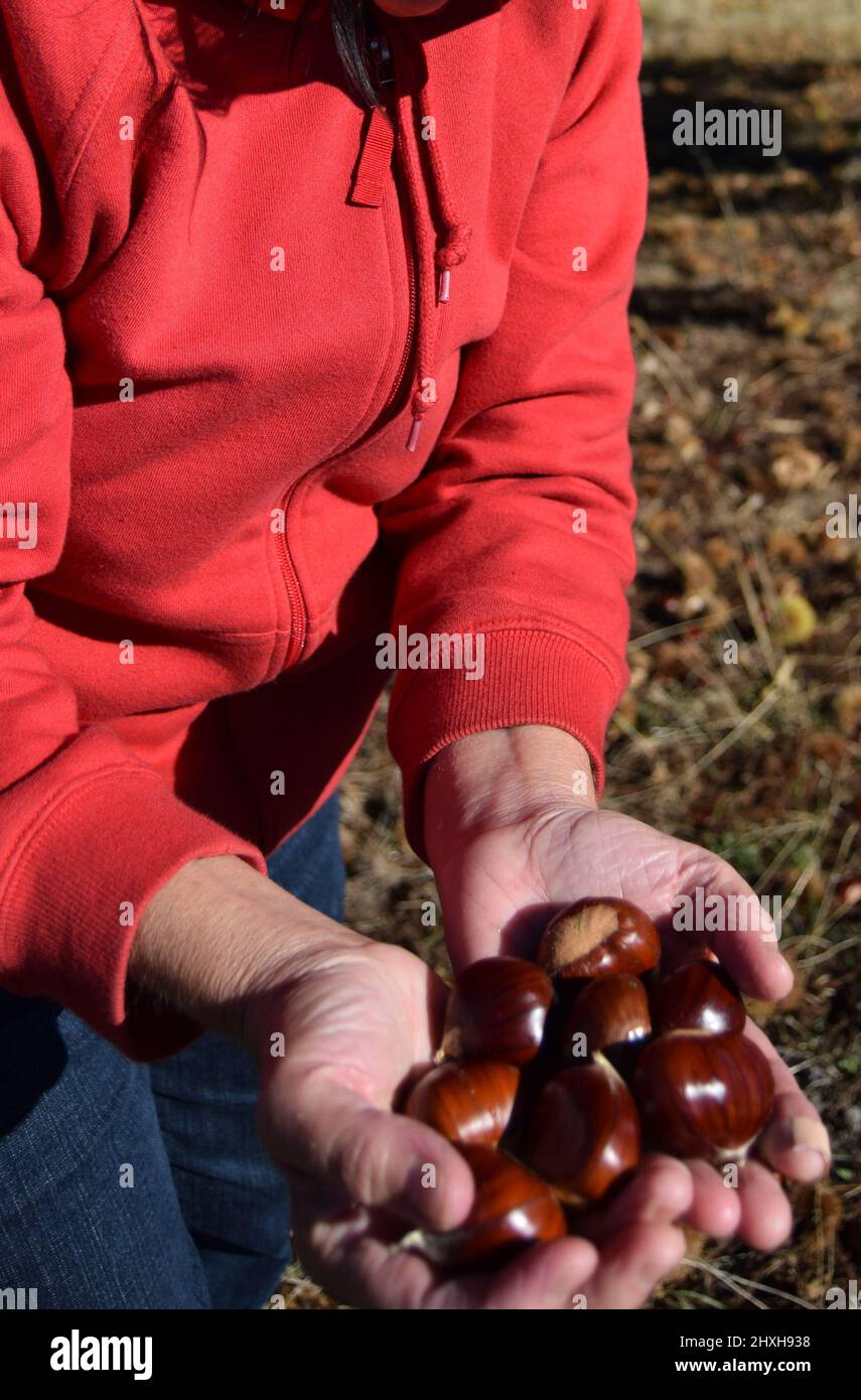 Agriculture activities hi-res stock photography and images - Alamy