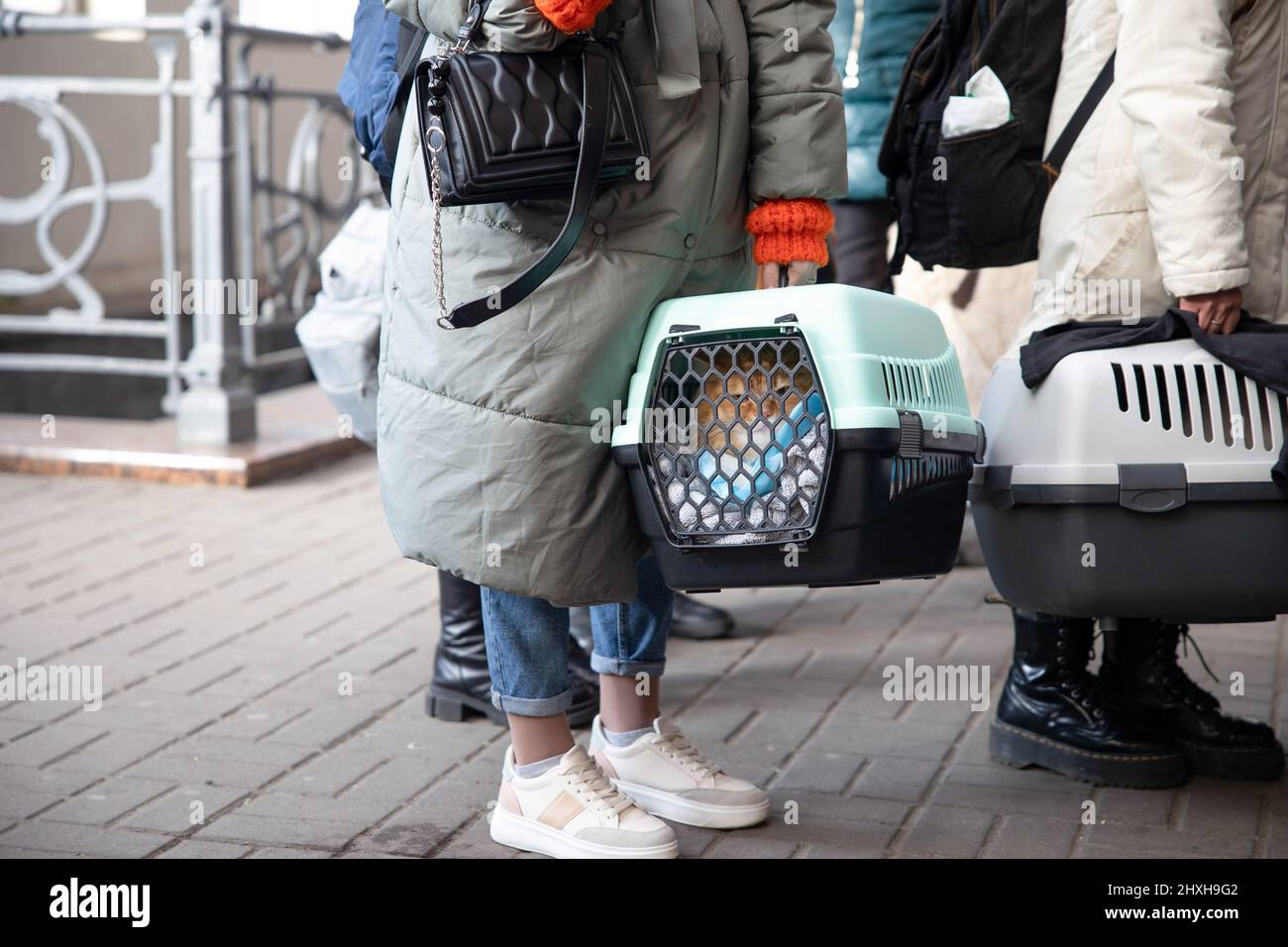 Lviv, Ukraine. 12th Mar, 2022. A cat seen inside a cage at the platform ...