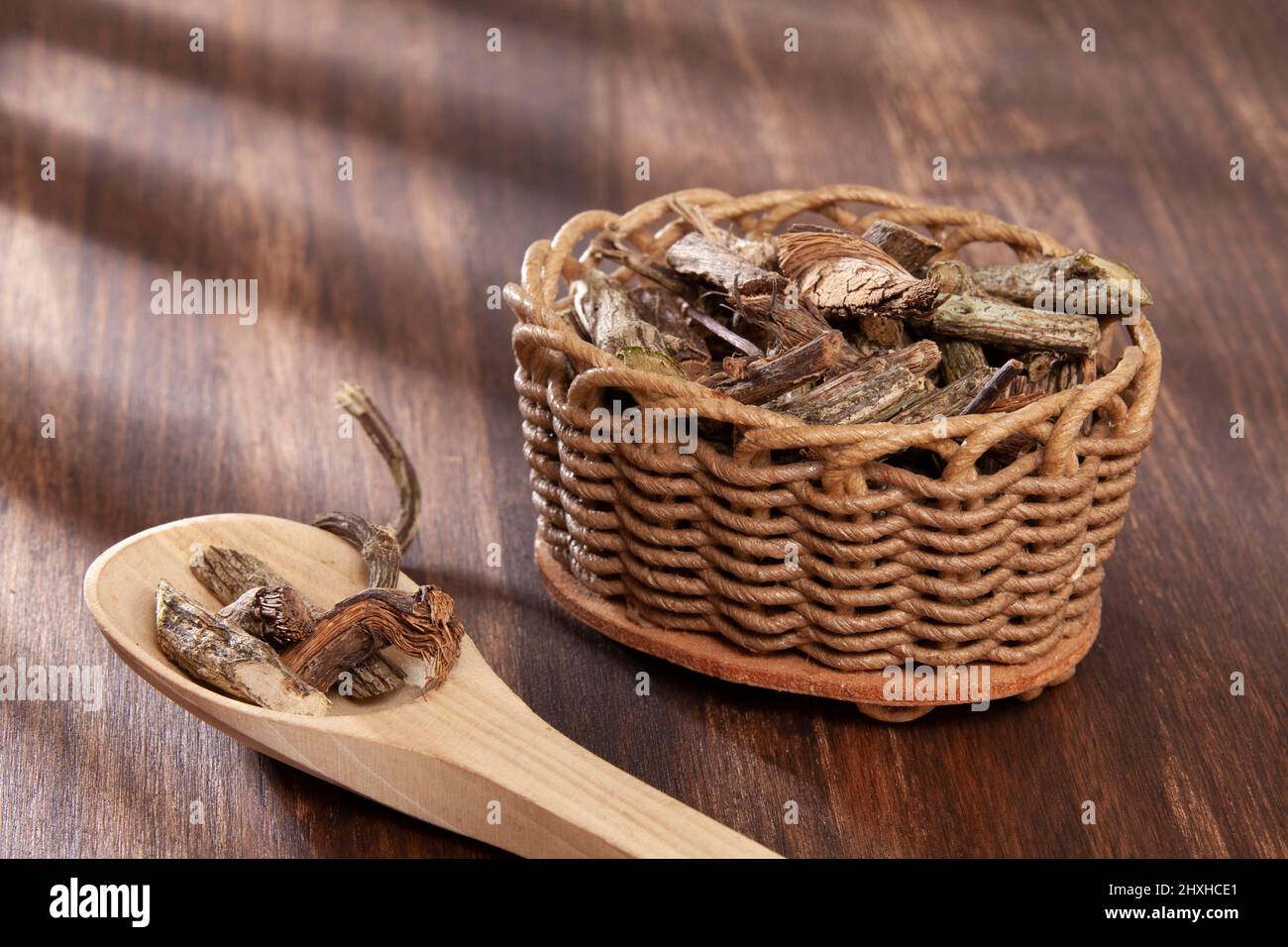 Valeriana Officinalis - Dried Valerian Stems Medicinal Plant Stock ...