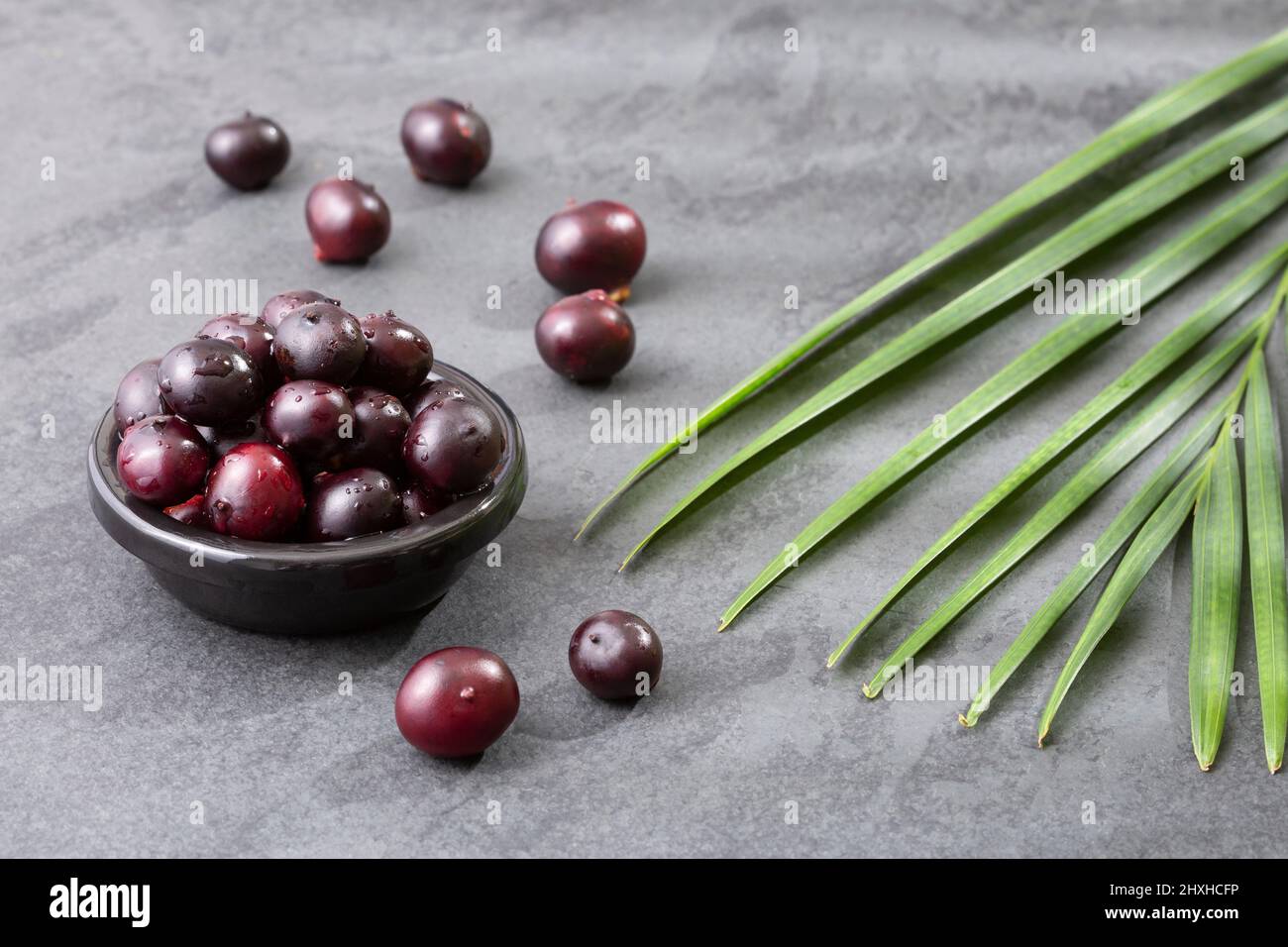 Euterpe oleracea - Acai Fruit Of The Palm Manaca Stock Photo - Alamy