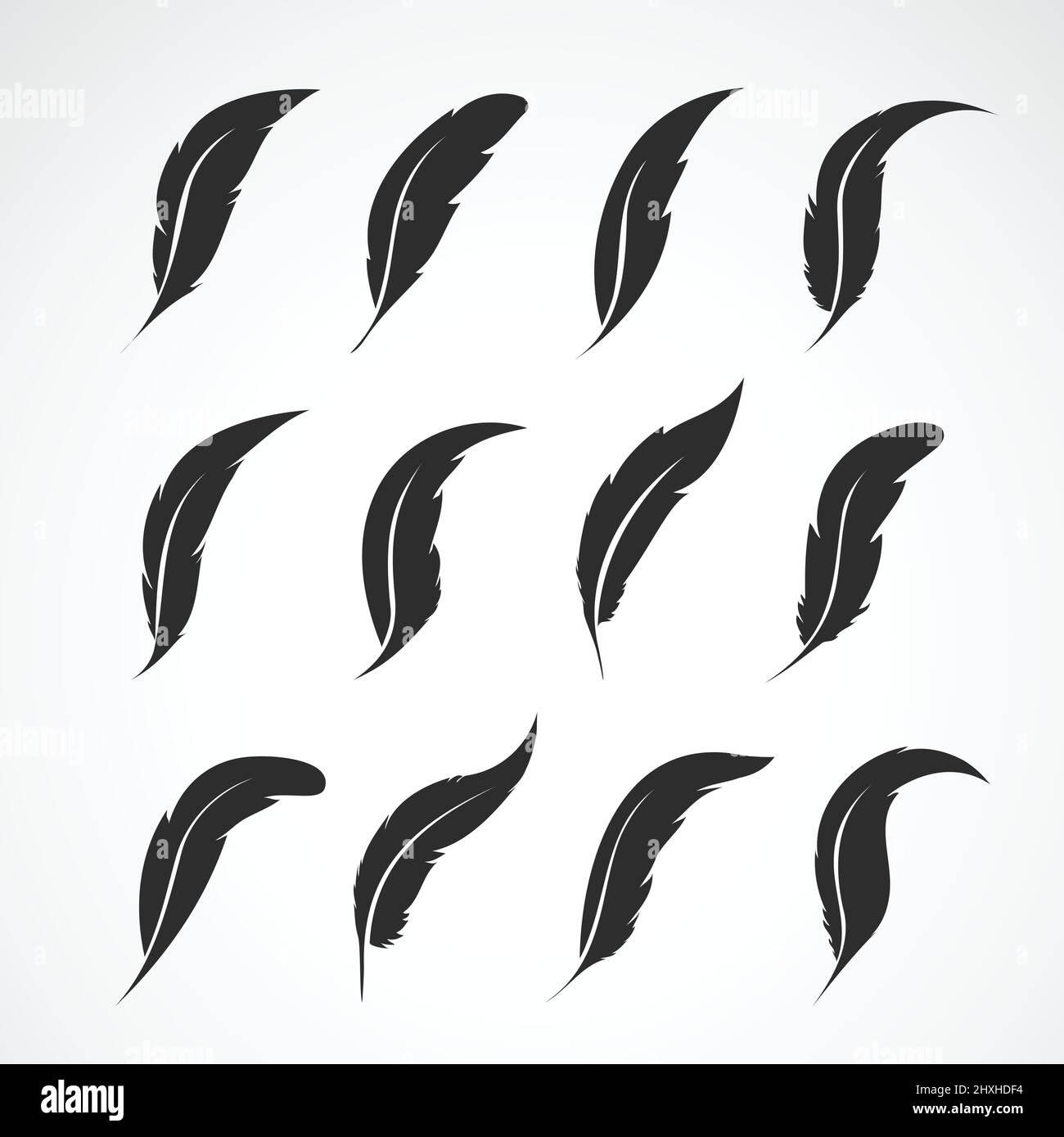Vector group of feather on white background. Icon. Feathers symbol in ...