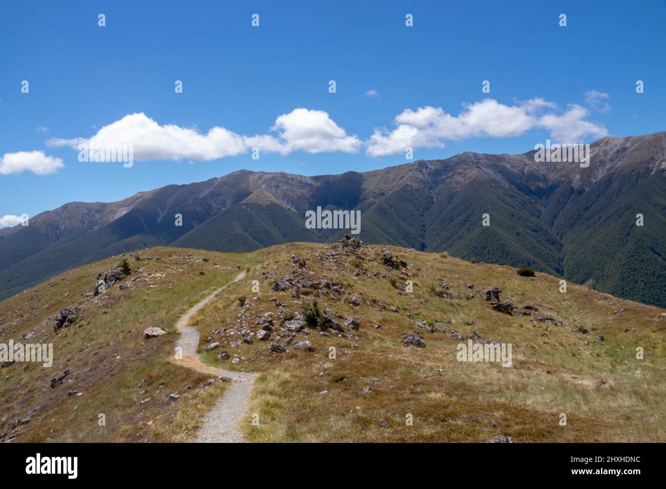 Beautiful Track, Mount Robert, New Zealand Stock Photo - Alamy
